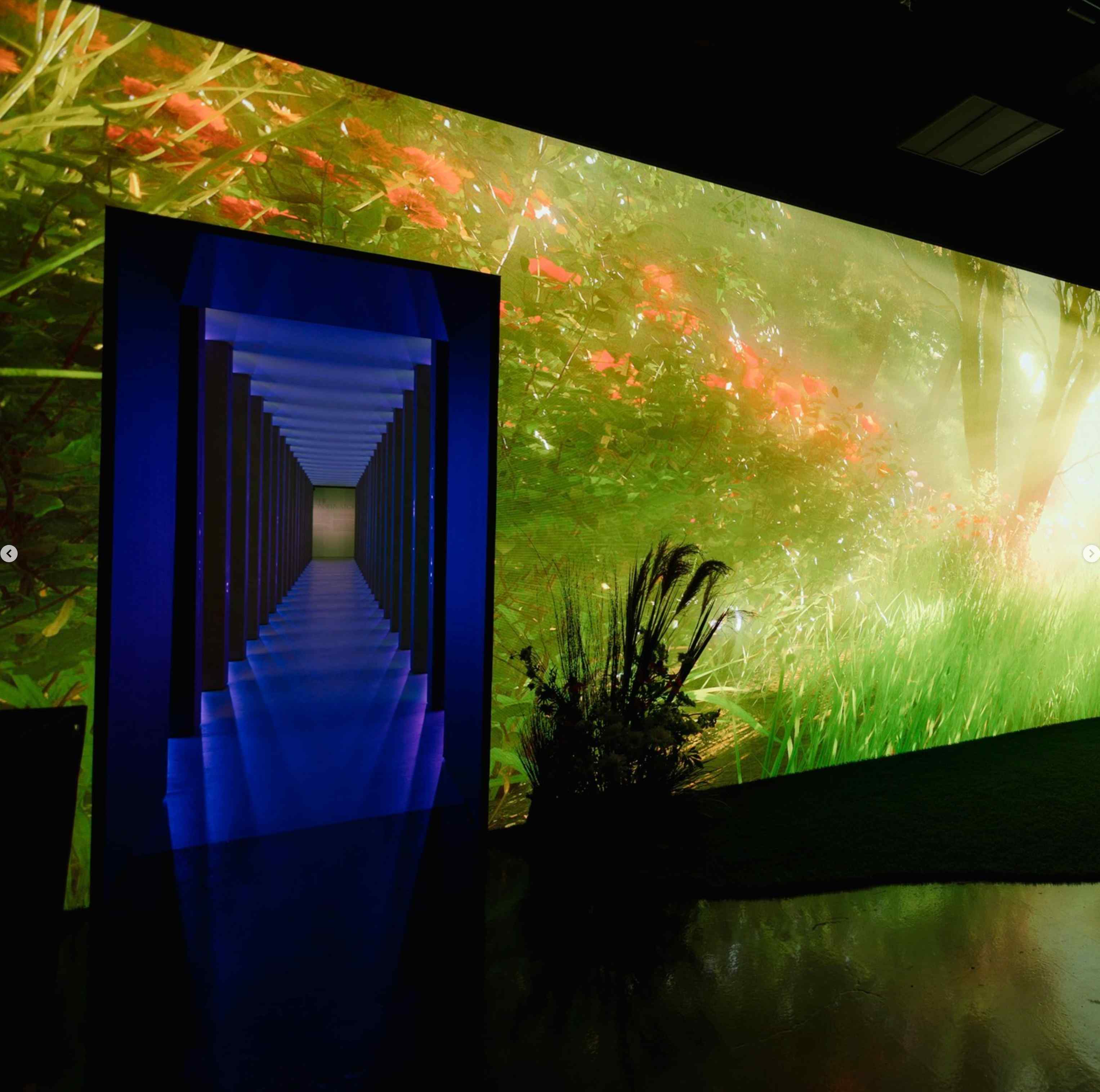 Space Cowboys: Pioneering the Future of Immersive Experiences | RED•EYE Magazine